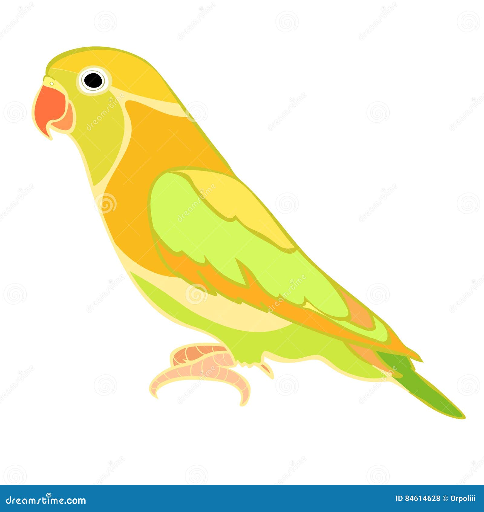 Lovebirds Parrot with a Red Beak. Vector Illustration Stock Vector ...