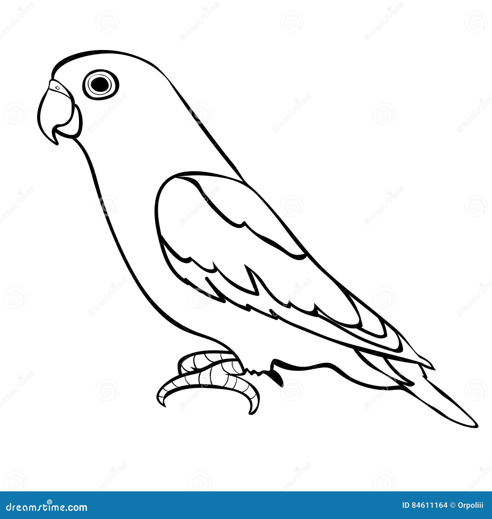 Lovebirds Parrot with a Red Beak. Vector Illustration Stock Vector ...