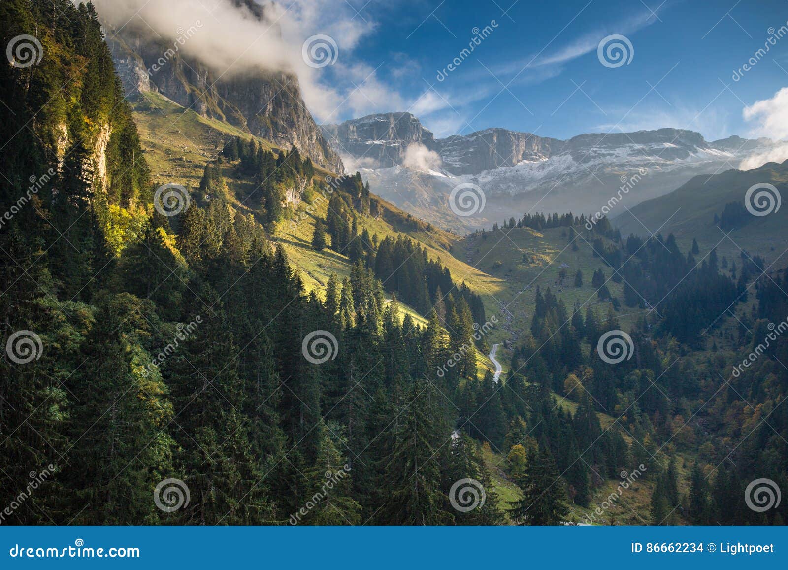 Lovely Alpine Scenery with Beautiful Forest Stock Photo - Image of dawn ...