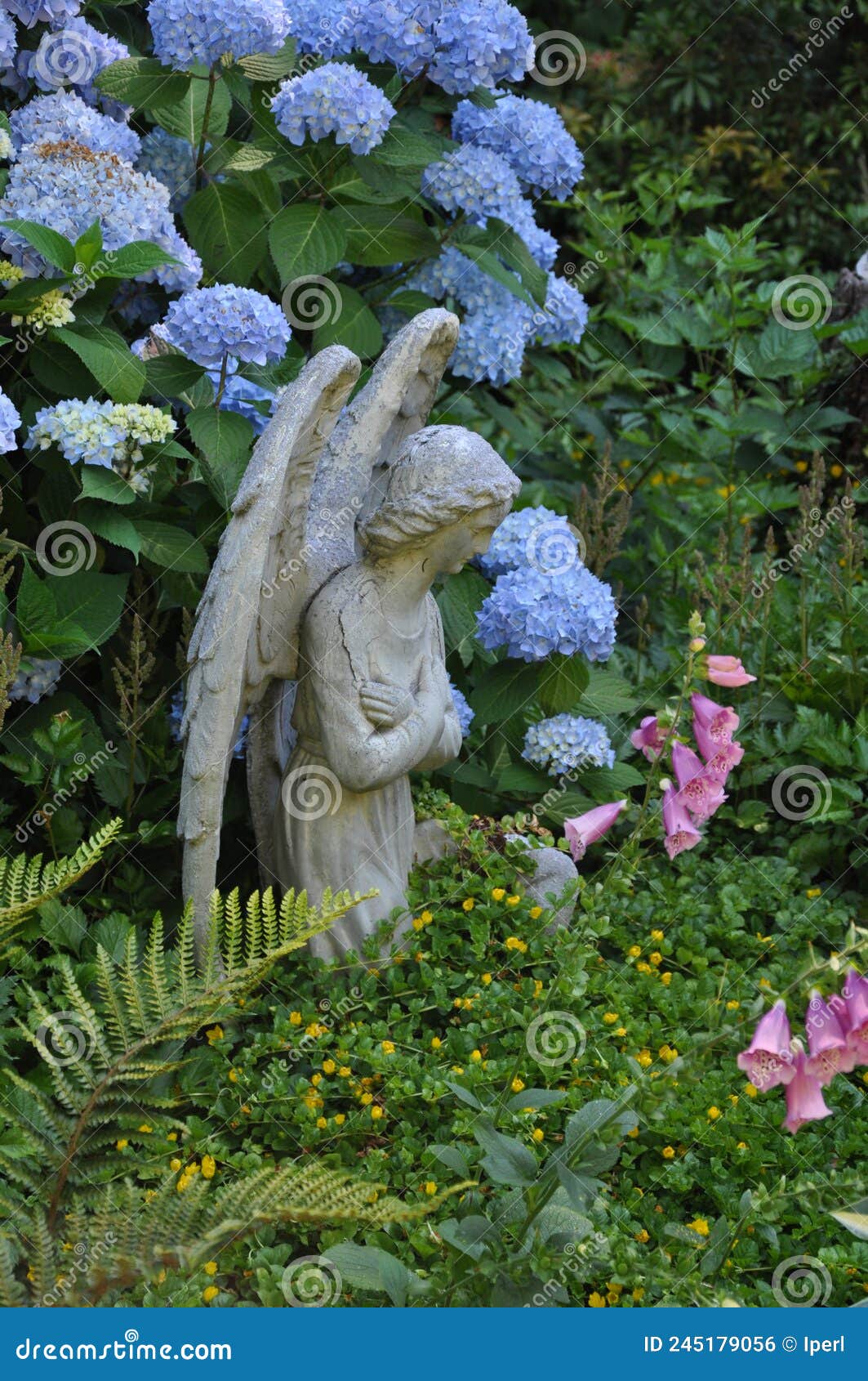 Angel and hydrangeas stock photo. Image of decoration - 245179056