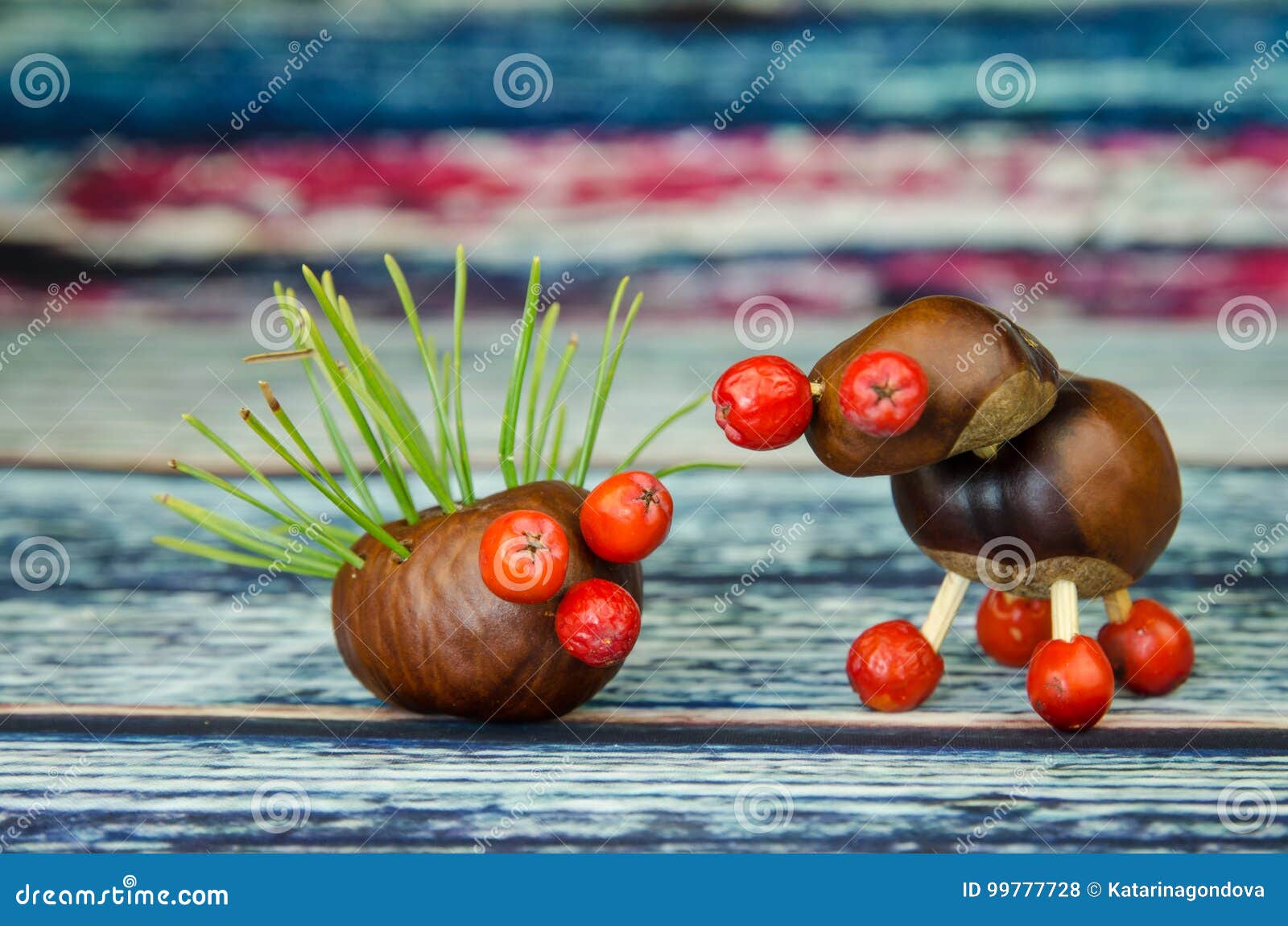 Autumn craft ideas stock photo. Image of hobby, plant - 99777728