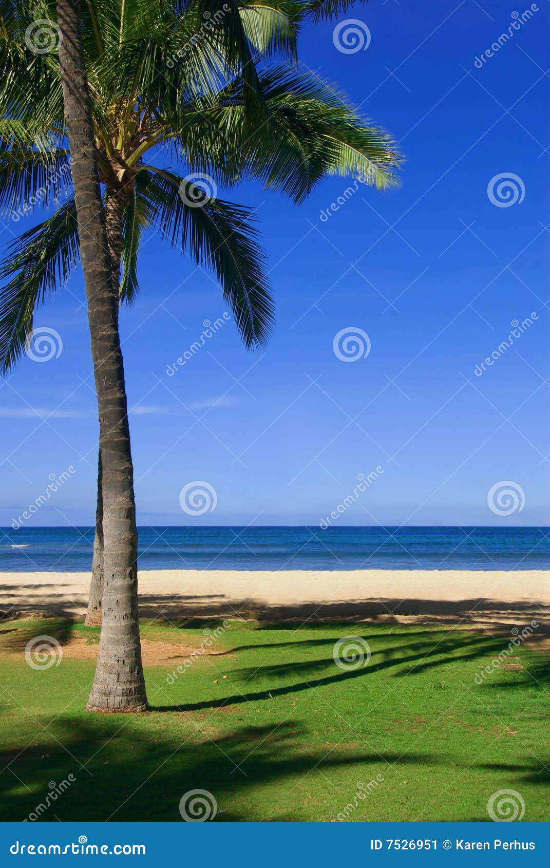 Lovely Beach Scene stock image. Image of enticing, tropical - 7526951