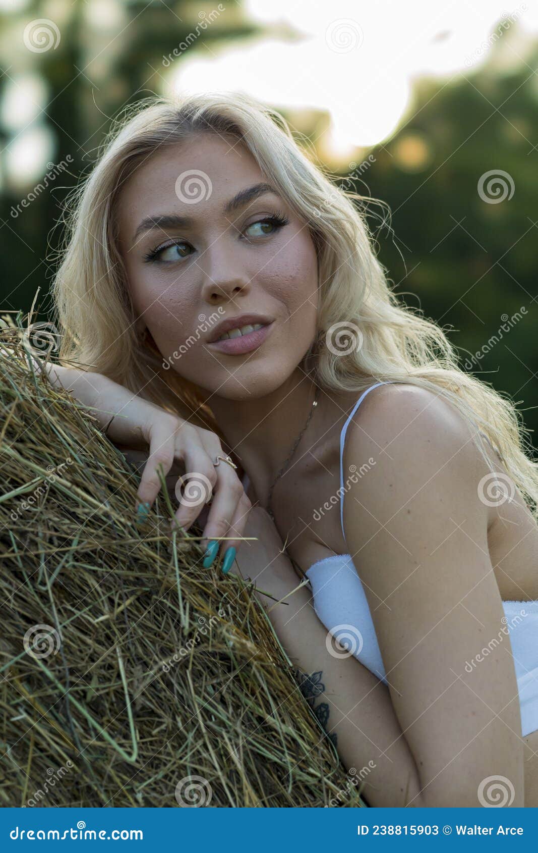 A Lovely Blonde Model Poses Outdoors In A Farm Environment Stock Image Image Of Glamorous