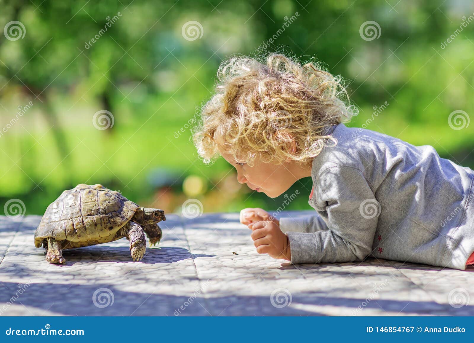 Lovely boy with turtle stock image. Image of background - 146854767