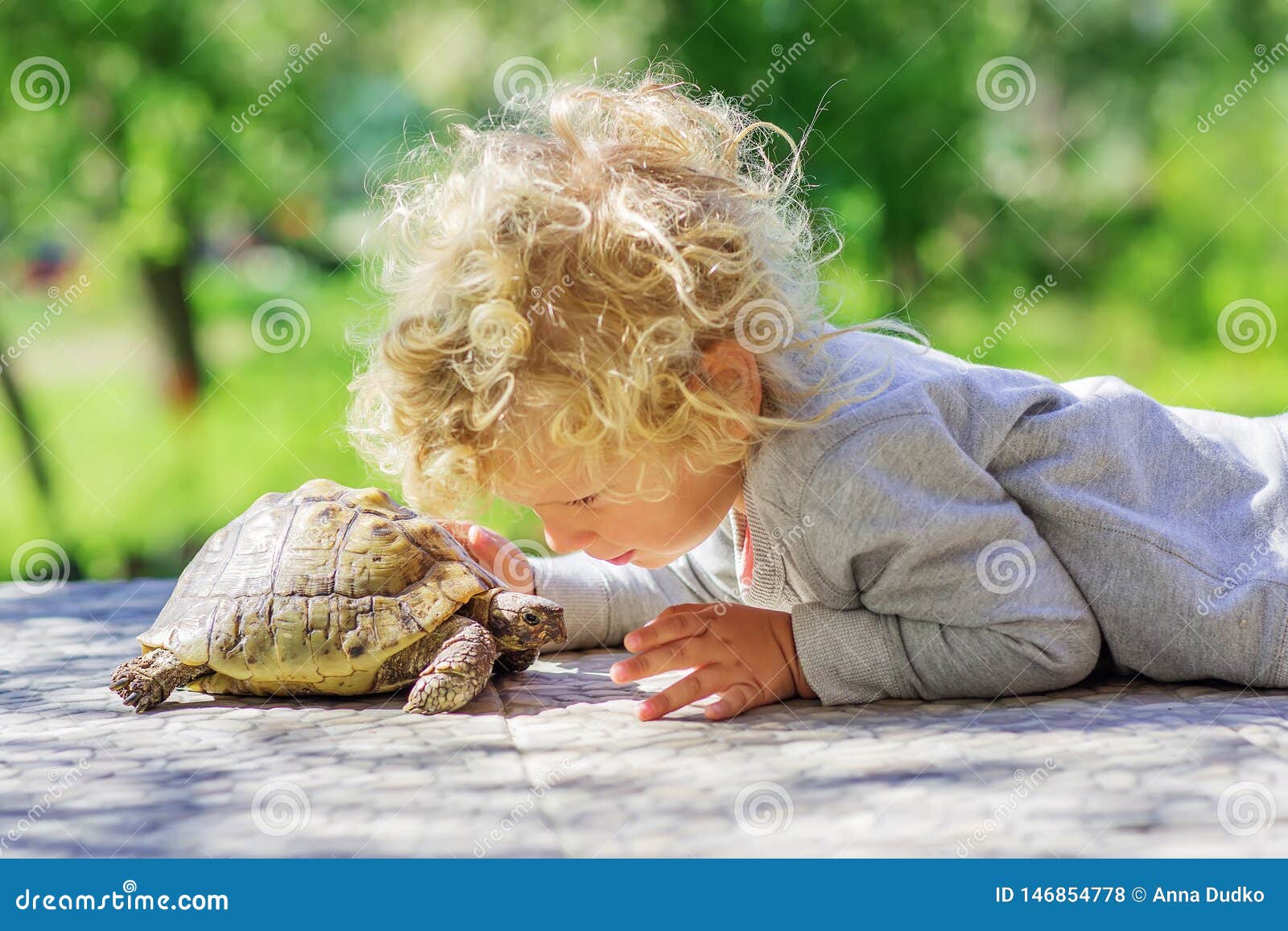 Lovely boy with turtle stock photo. Image of cute, happiness - 146854778