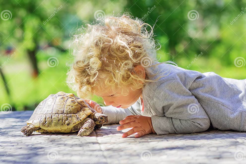 Lovely boy with turtle stock photo. Image of cute, happiness - 146854778