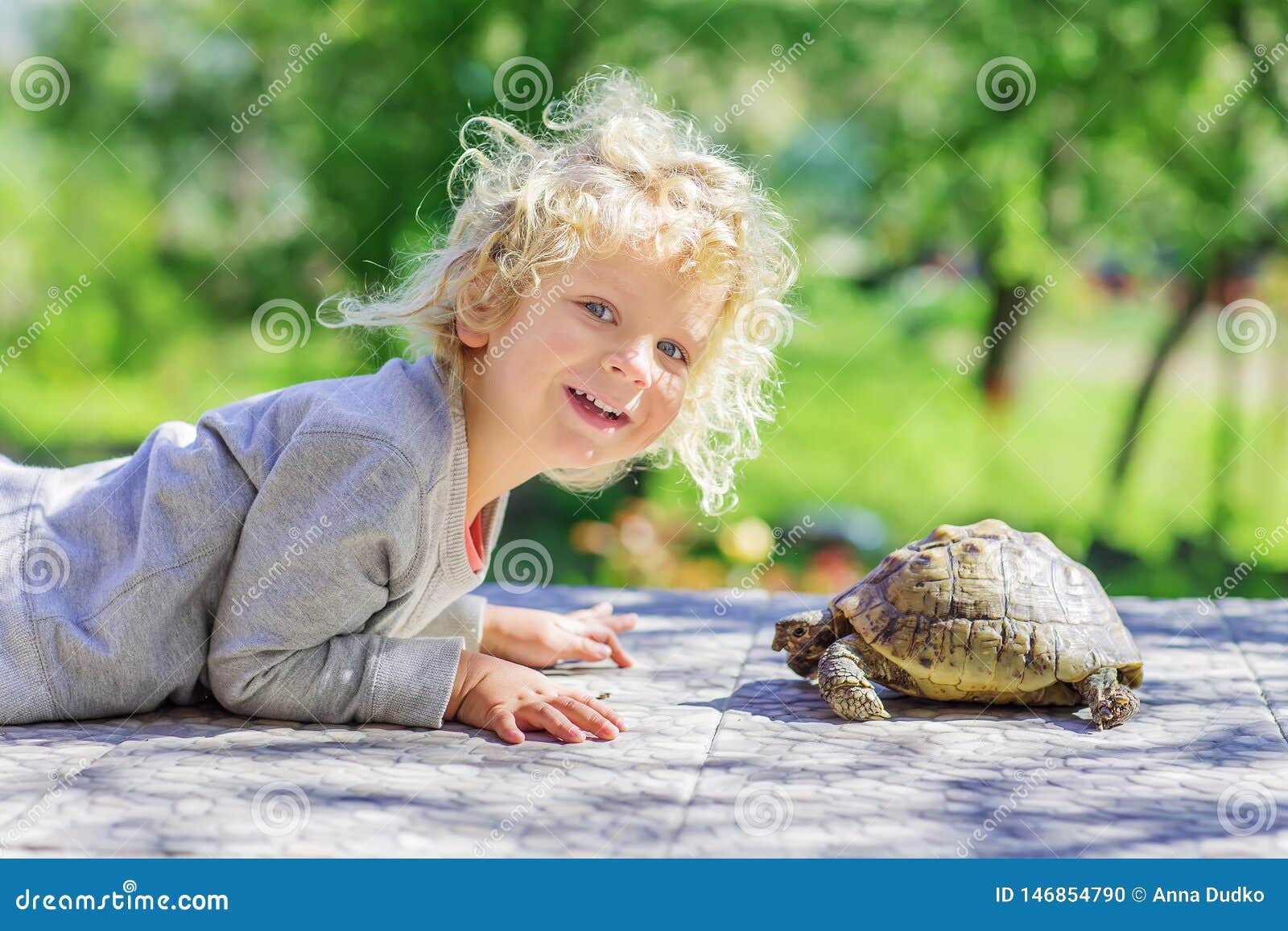Lovely boy with turtle stock photo. Image of happy, white - 146854790