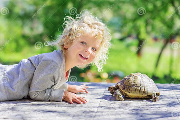 Lovely boy with turtle stock photo. Image of happy, white - 146854790