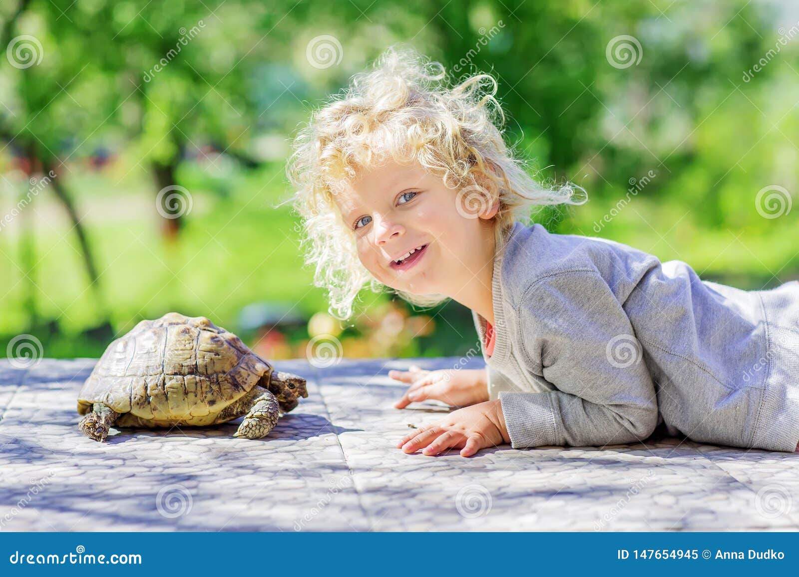 Lovely boy with turtle stock image. Image of childhood - 147654945