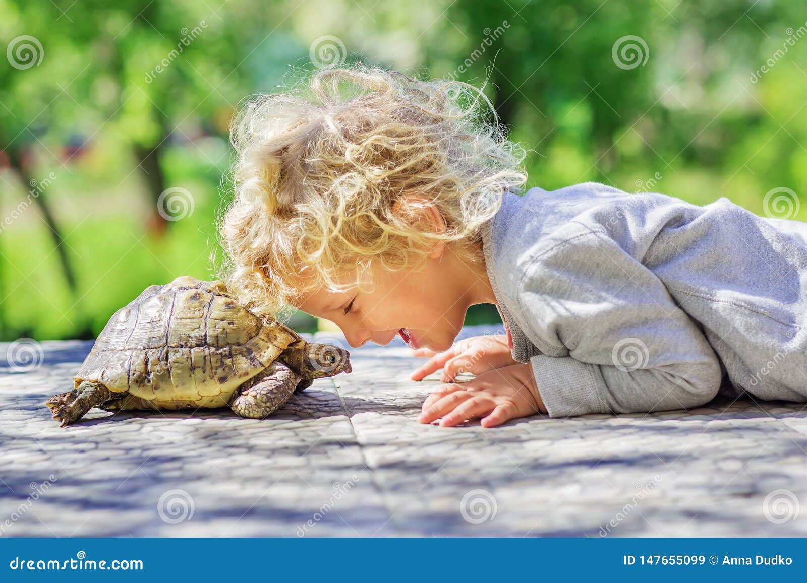 Lovely boy with turtle stock image. Image of animal - 147655099