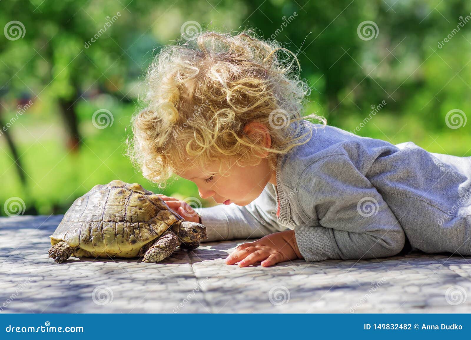 Lovely boy with turtle stock photo. Image of small, side - 149832482