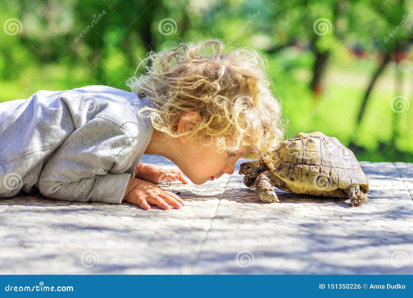Lovely boy with turtle stock photo. Image of background - 151350226
