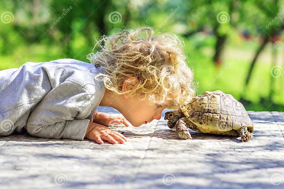 Lovely boy with turtle stock photo. Image of background - 151350226