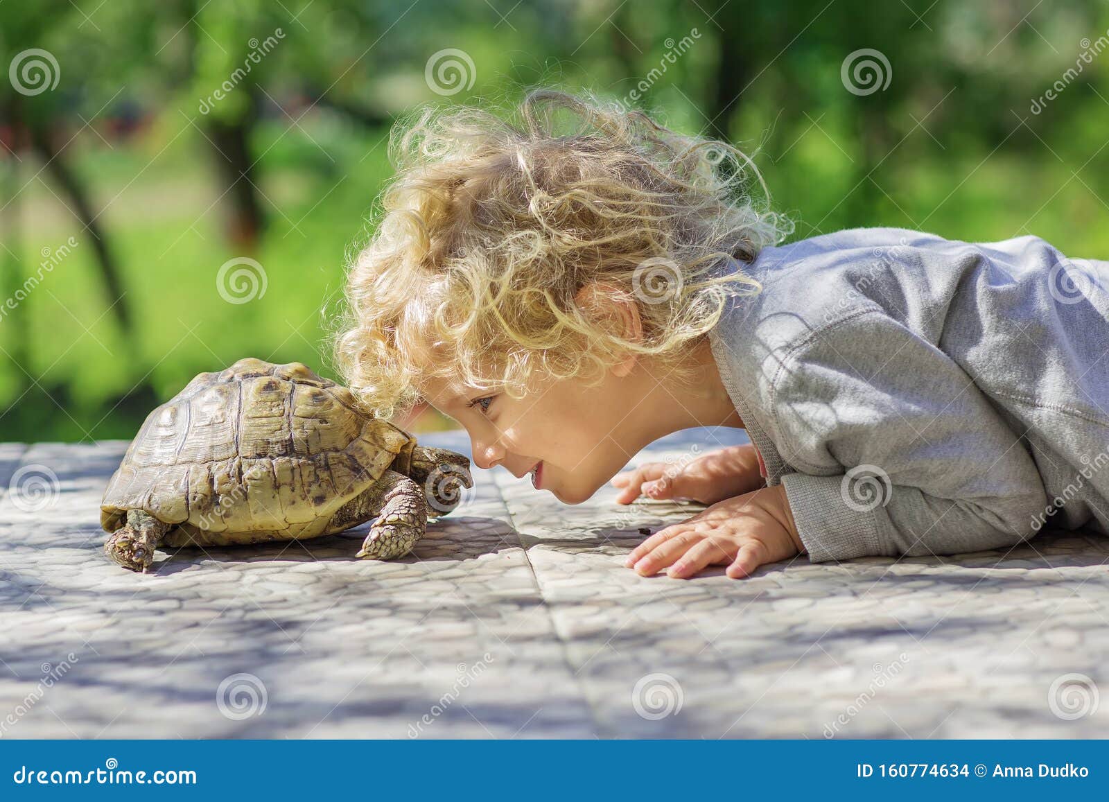 Lovely boy with turtle stock photo. Image of kids, outside - 160774634