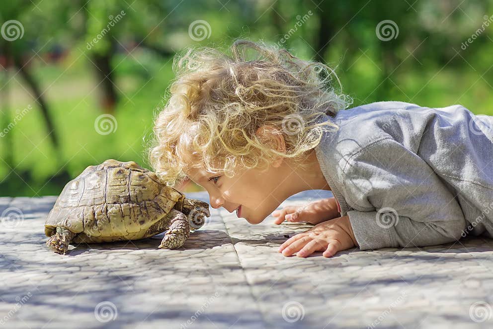 Lovely boy with turtle stock photo. Image of kids, outside - 160774634