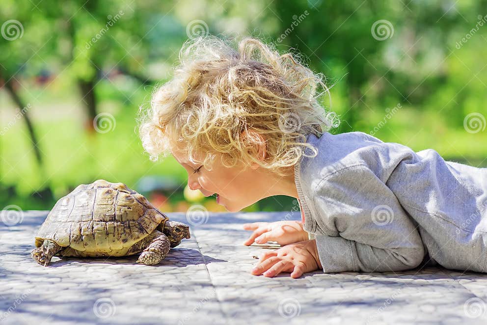 Lovely boy with turtle stock photo. Image of small, side - 160774678