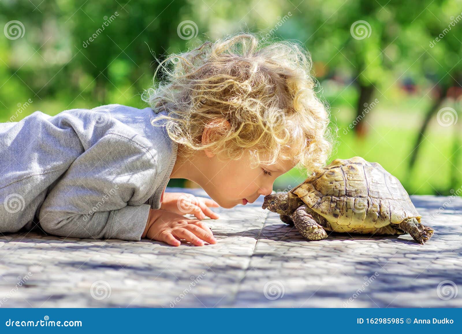 Lovely boy with turtle stock image. Image of childhood - 162985985