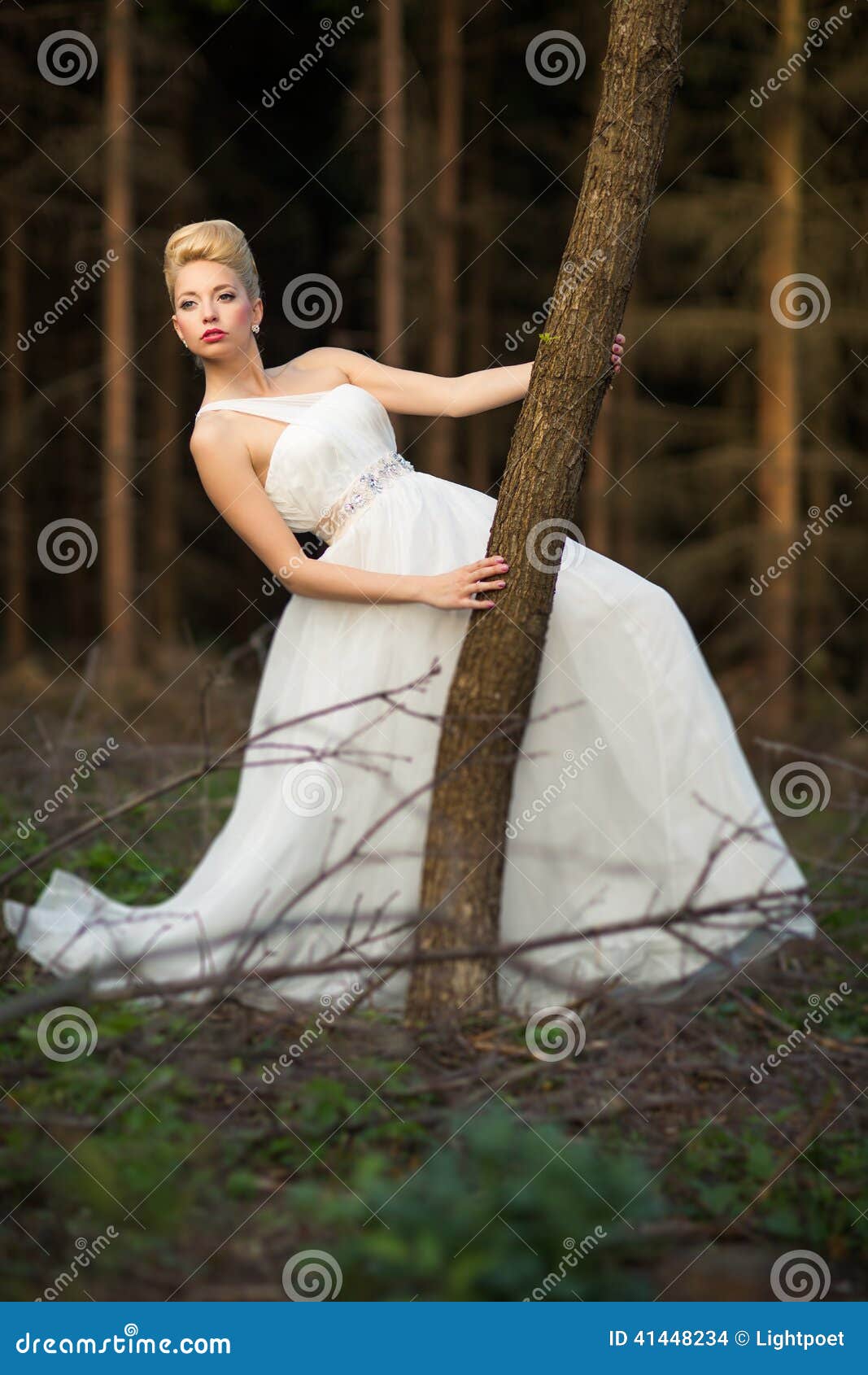 Lovely bride in a forest stock photo. Image of girl, bride - 41448234