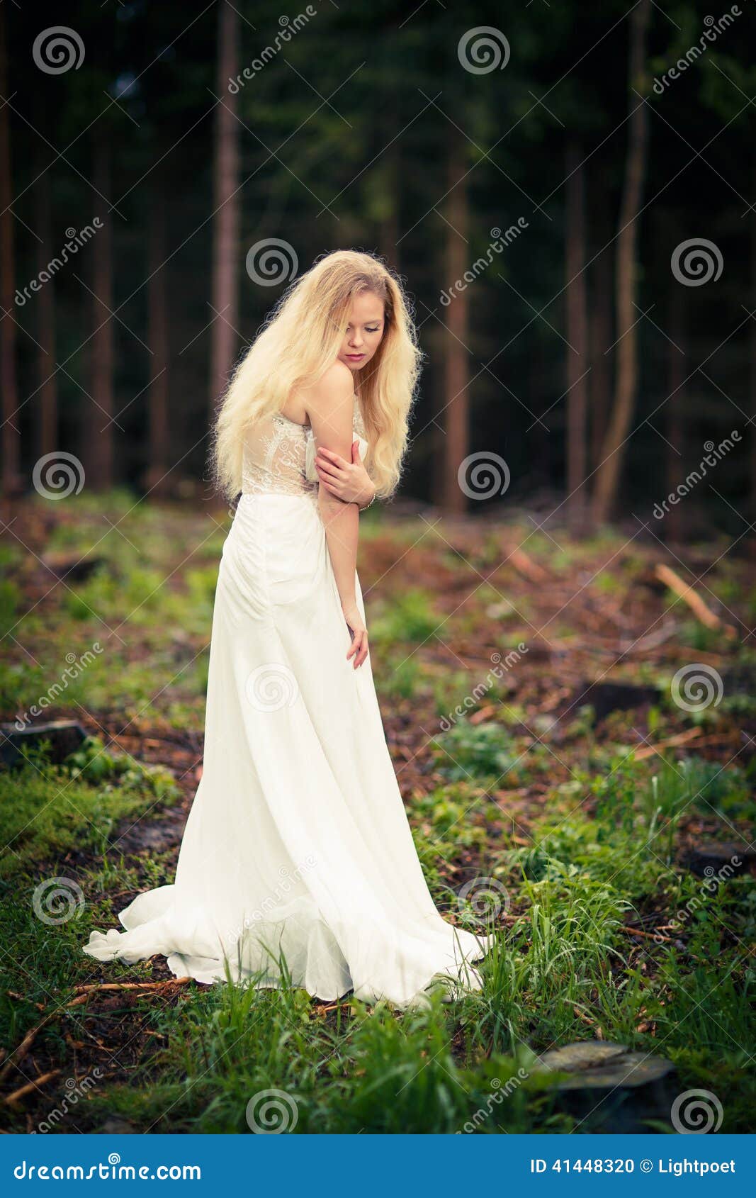 Lovely bride in a forest stock photo. Image of beautiful - 41448320
