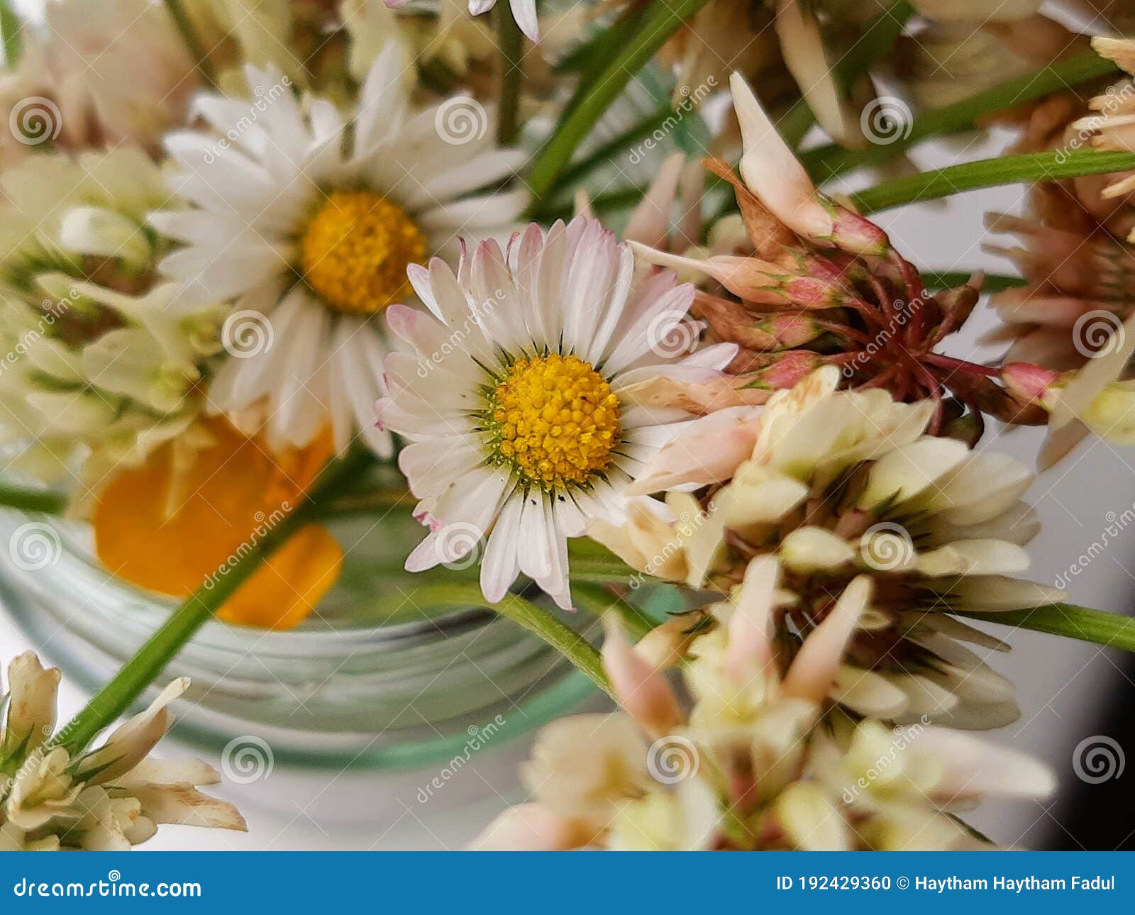 Lovely calming flowers stock photo. Image of colourful - 192429360