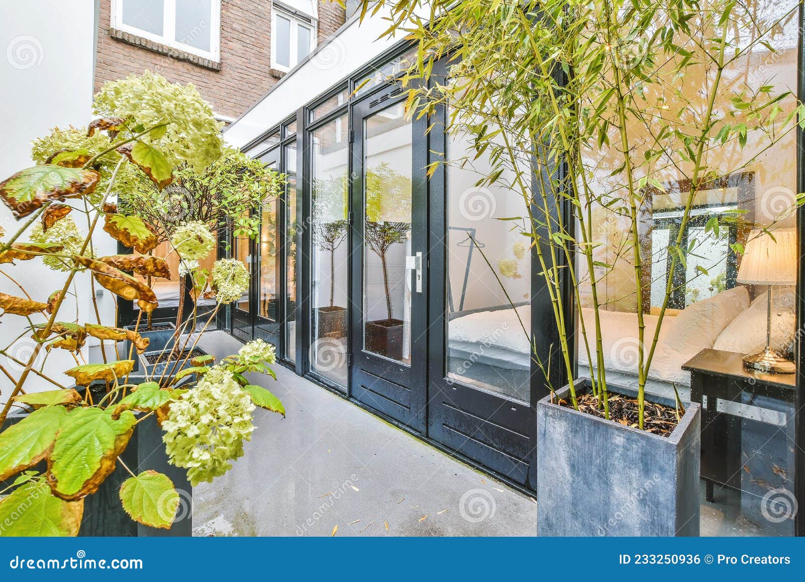 Lovely Courtyard with Trees Stock Photo - Image of trees, design: 233250936