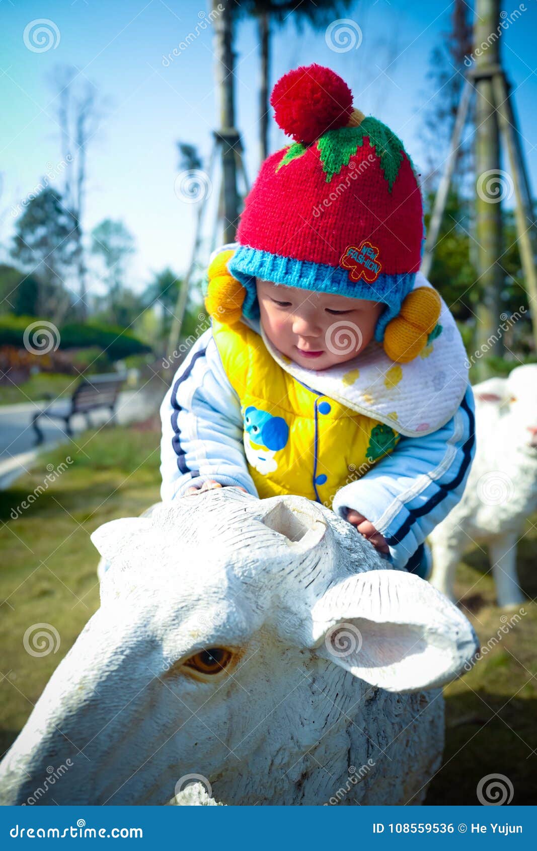 Cute Little Boy Riding a Sheep Stock Photo - Image of cute, asia: 108559536 Cute Little Boy Riding a Sheep Stock Photo - Image of cute, asia: 108559536