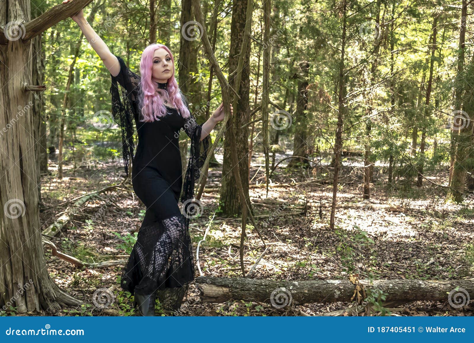 A Lovely Gothic Model Acts in a Forest Environment Stock Image - Image ...