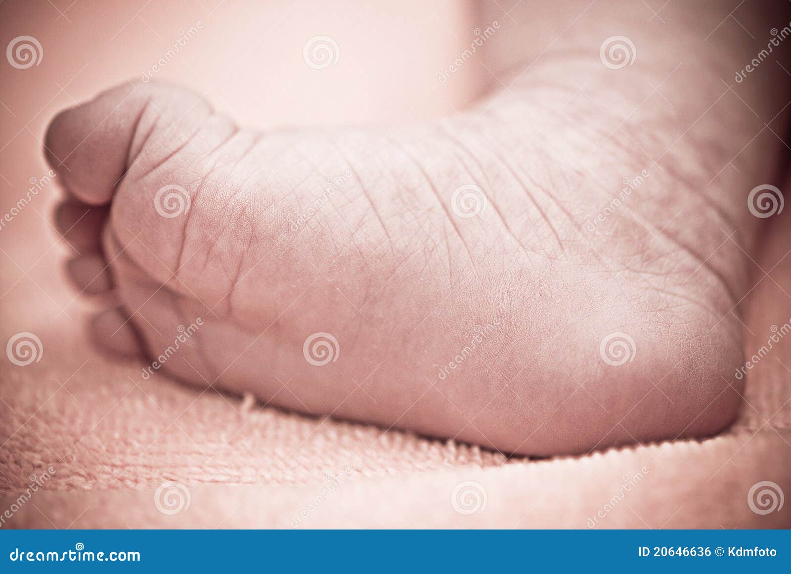 Lovely infant foot stock photo. Image of care, peaceful - 20646636