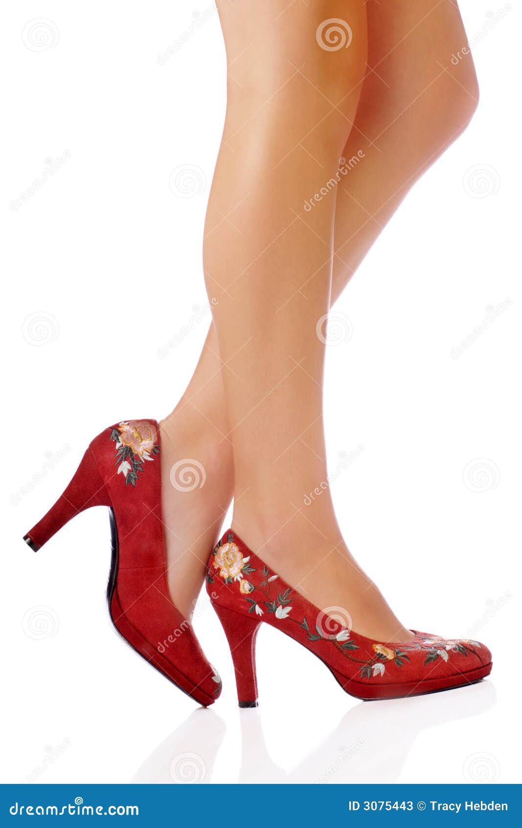 Lovely legs stock image. Image of high, long, beautiful - 3075443