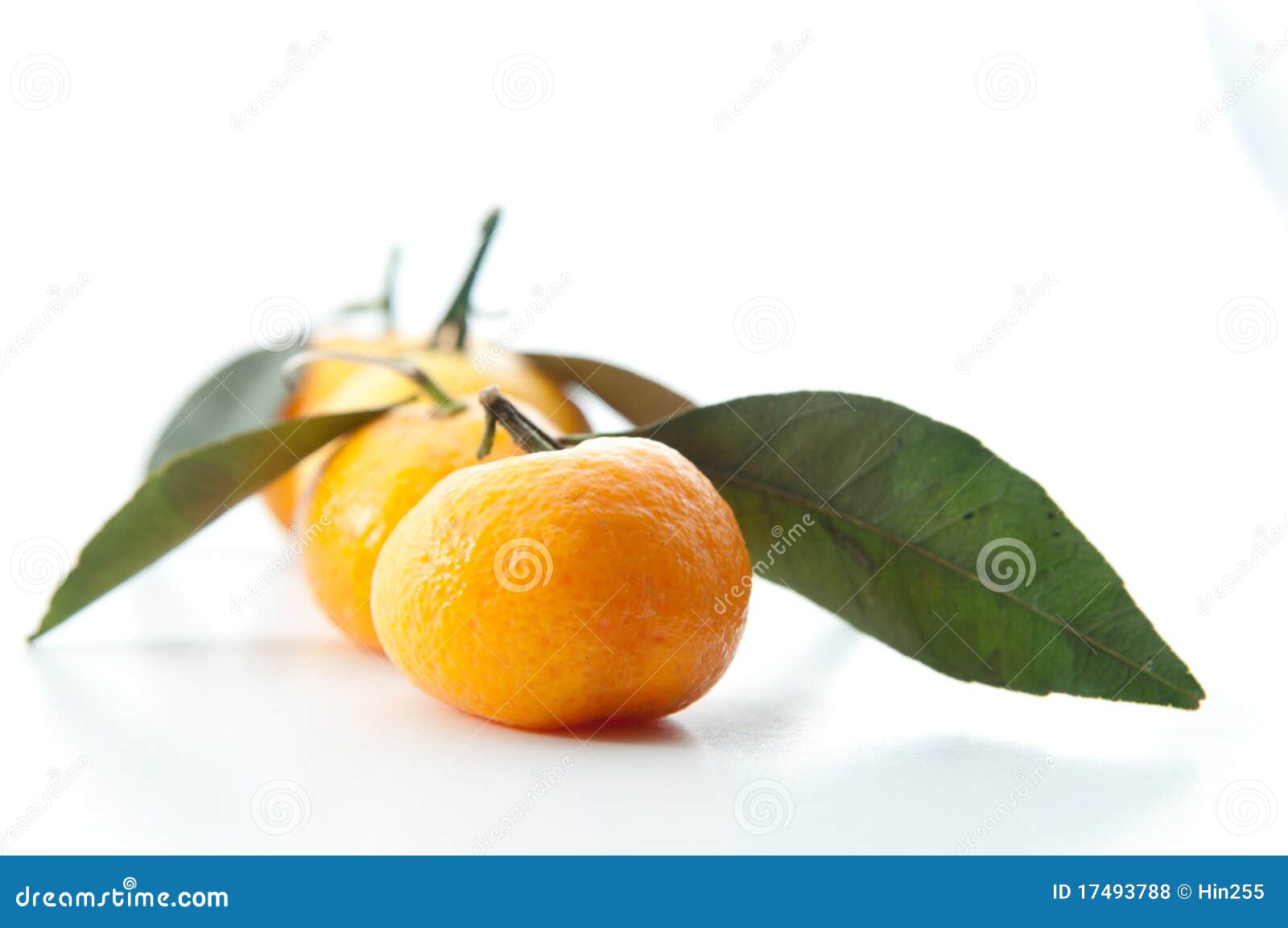 Lovely Little Mandarin Oranges Stock Photo - Image of tangerine, still ...