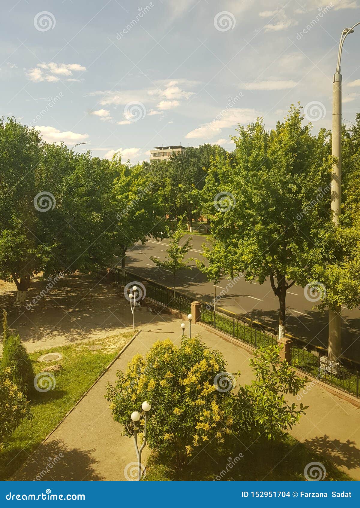 Beautiful Nature and Its Greenery Stock Photo - Image of navoy, narov ...
