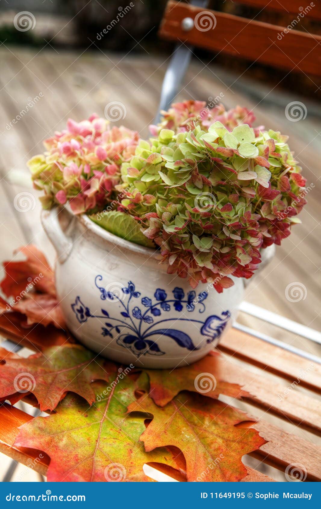 Lovely Old Pot with Flowers Stock Image - Image of bouquet, still: 11649195
