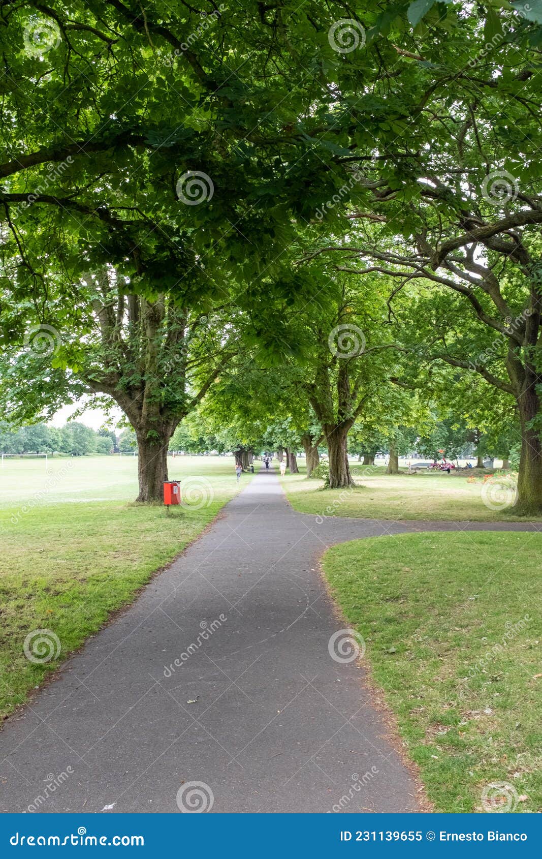 Lovely Pathway In Enfield With Spectacular Tall Green Trees Royalty ...