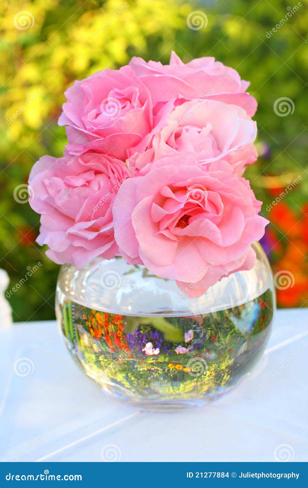 Lovely Pink Roses In A Vase Stock Images - Image: 21277884