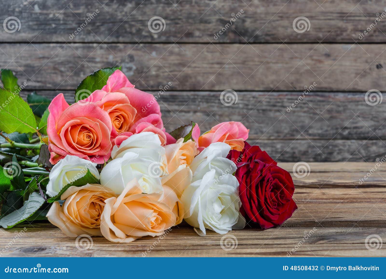 Lovely rose flowers stock photo. Image of romance, idea - 48508432