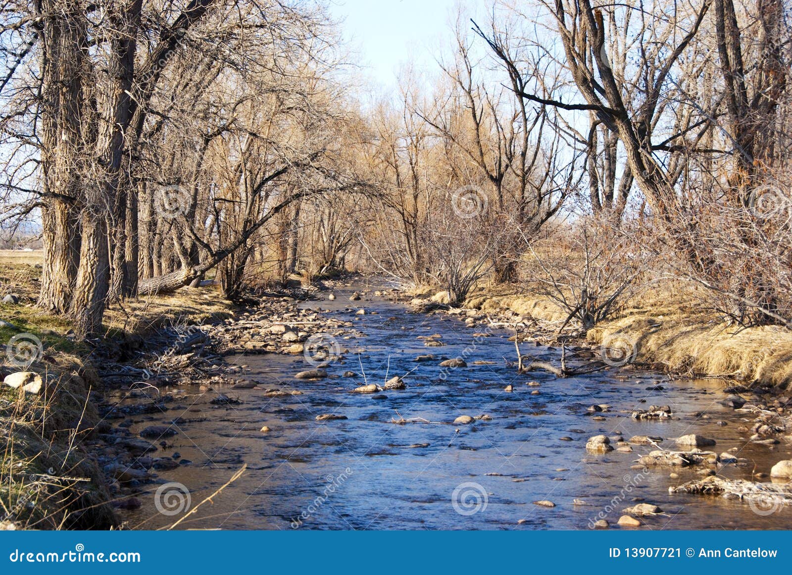 Lovely Running Stream stock image. Image of rocks, stream - 13907721