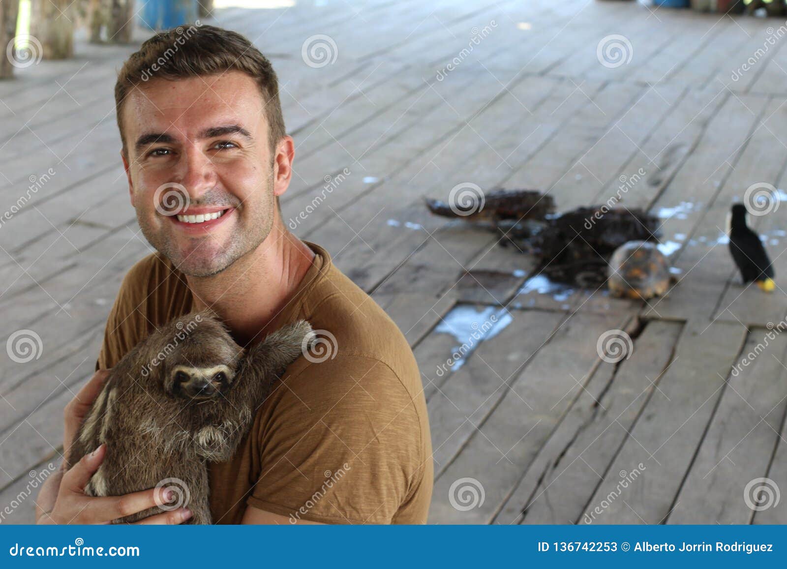 Lovely sloth hugging a man stock image. Image of central - 136742253