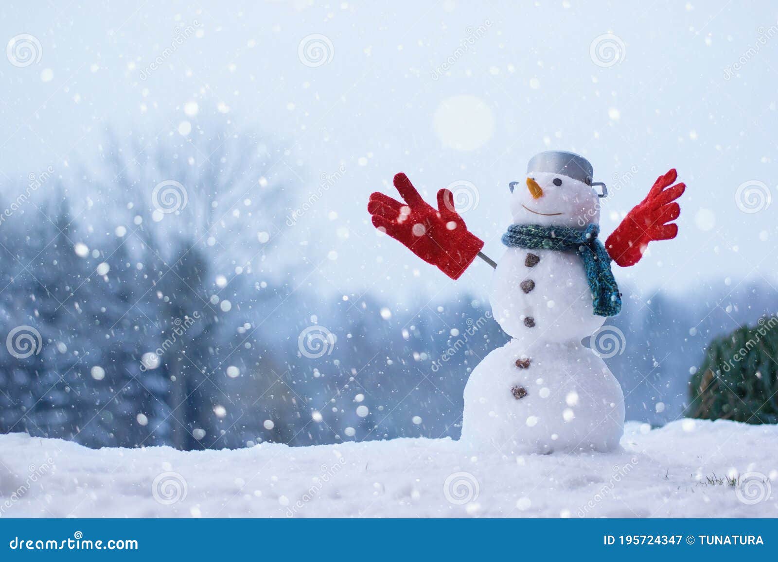 Lovely Smiling Snowman in the Winter Garden Stock Image - Image of copy ...