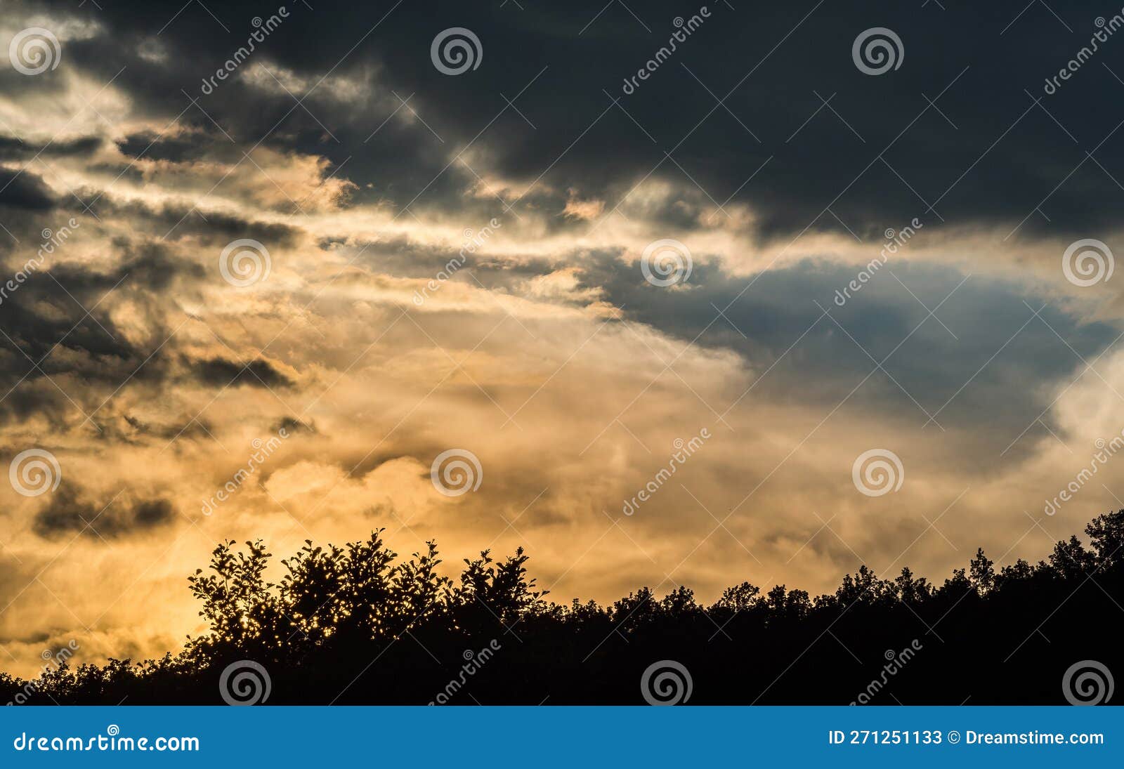 A Lovely Sunset in Jena at Summer with a Tree Line in Front, Copy Space ...