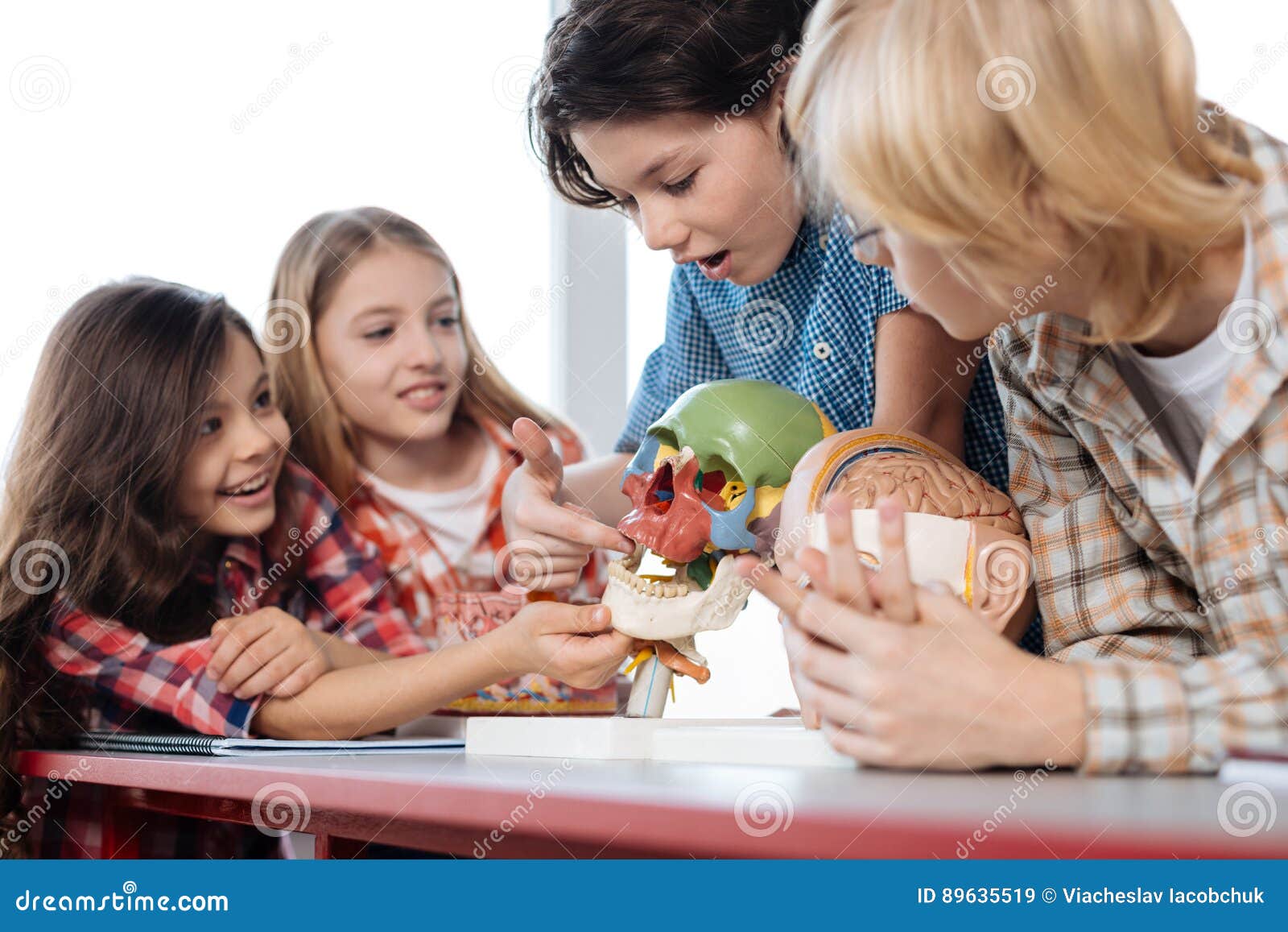 Lovely Talkative Kid Explaining Something about Teeth Stock Image ...