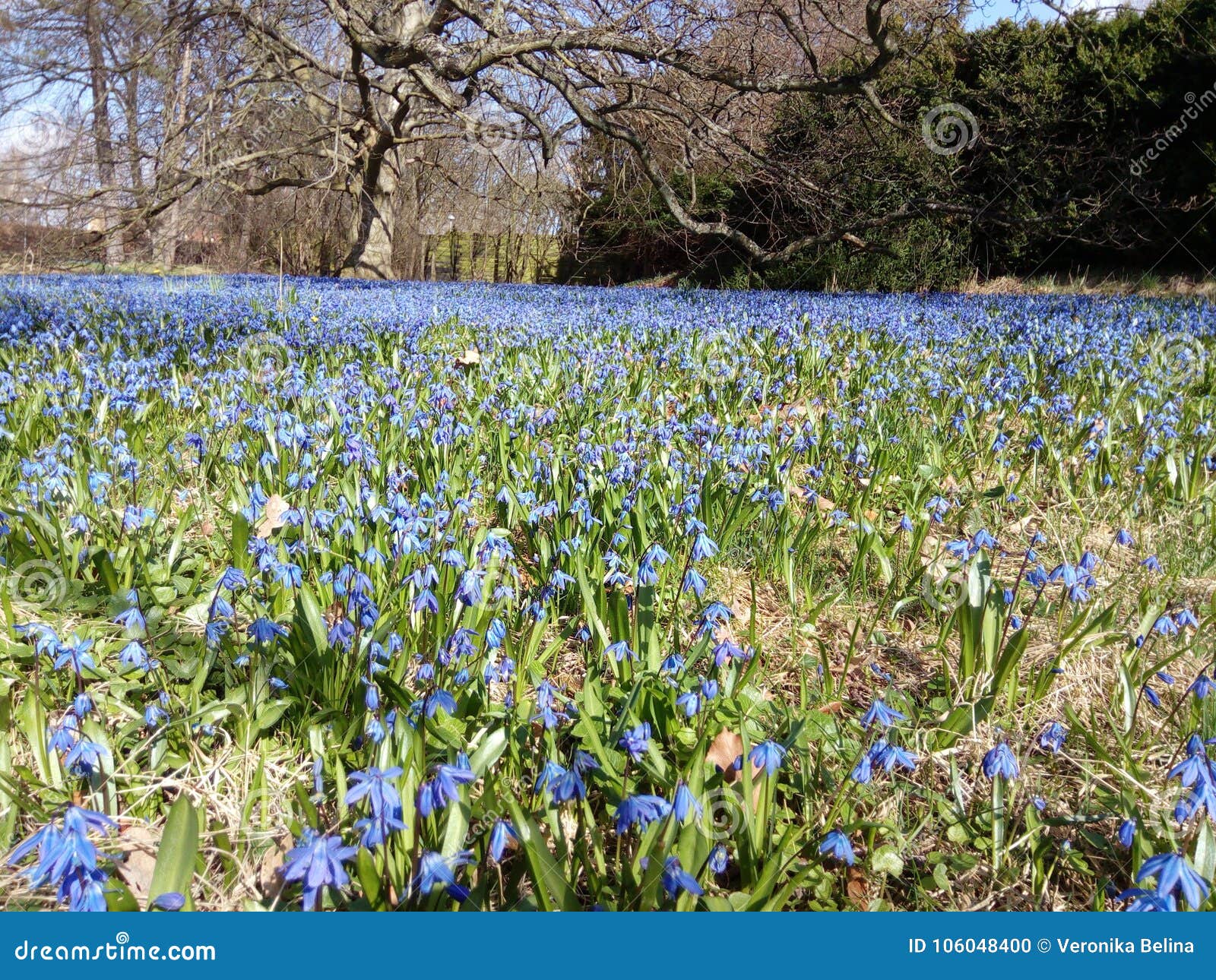 Lovely view stock photo. Image of view, lovely, blue - 106048400