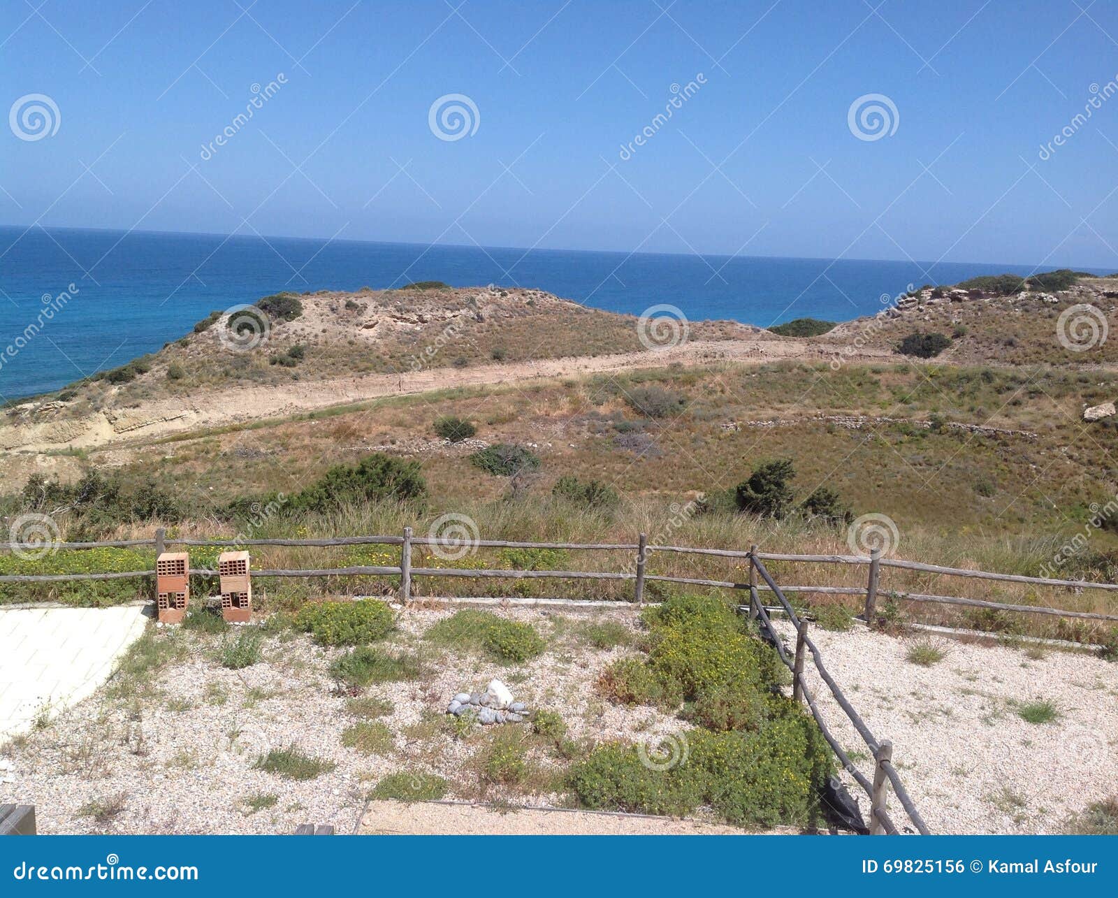 Lovely view stock photo. Image of lovely, seaview, plant - 69825156
