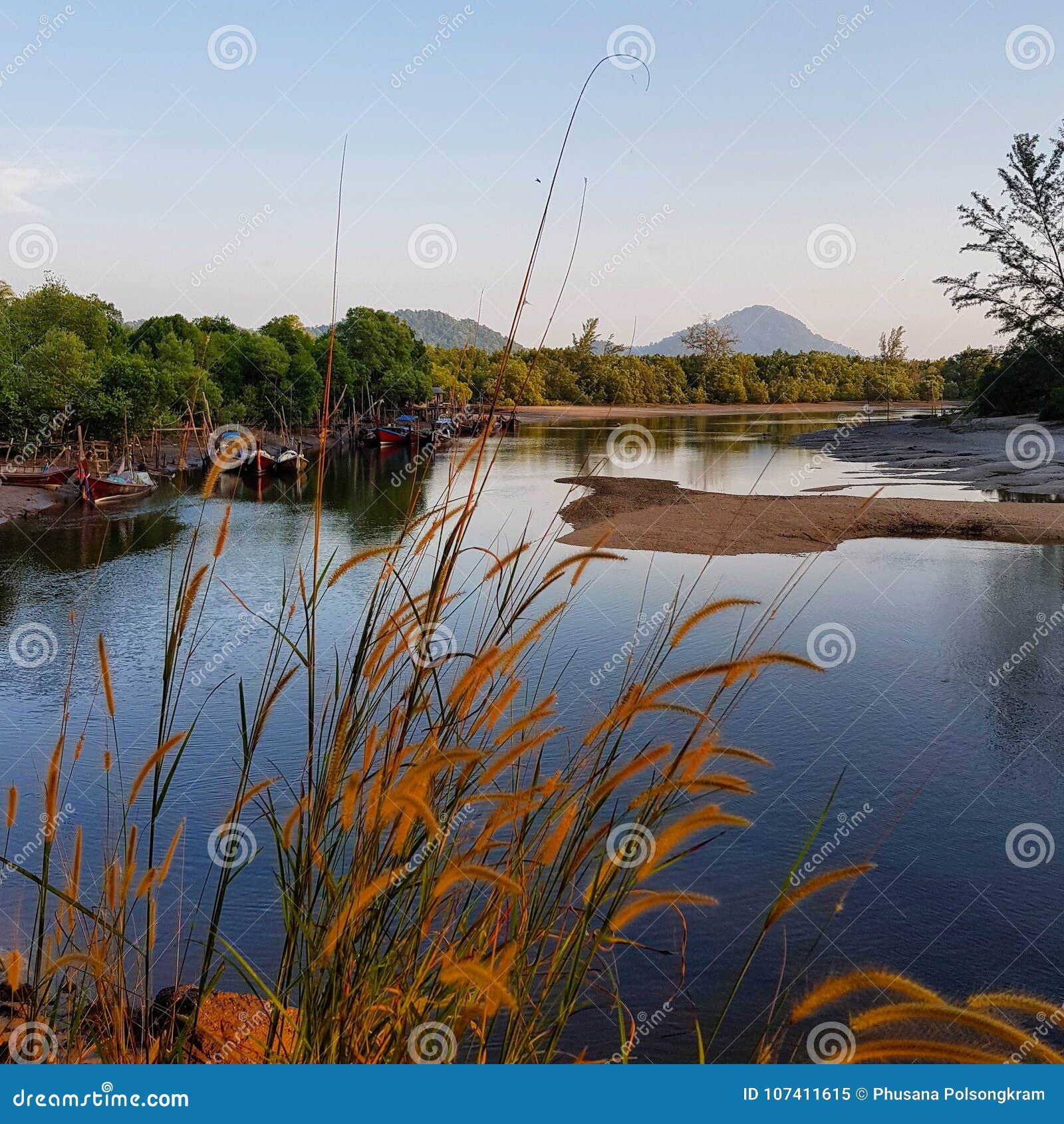 Lovely view stock image. Image of village, tree, grassflower - 107411615