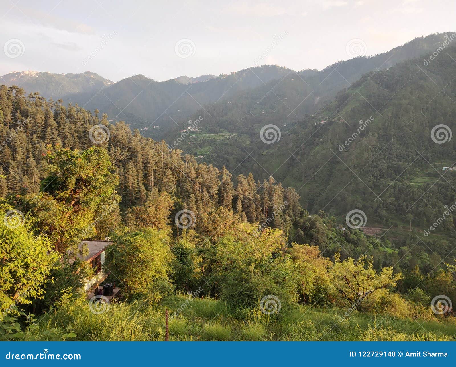 Lovely view stock photo. Image of trees, himachal, view - 122729140