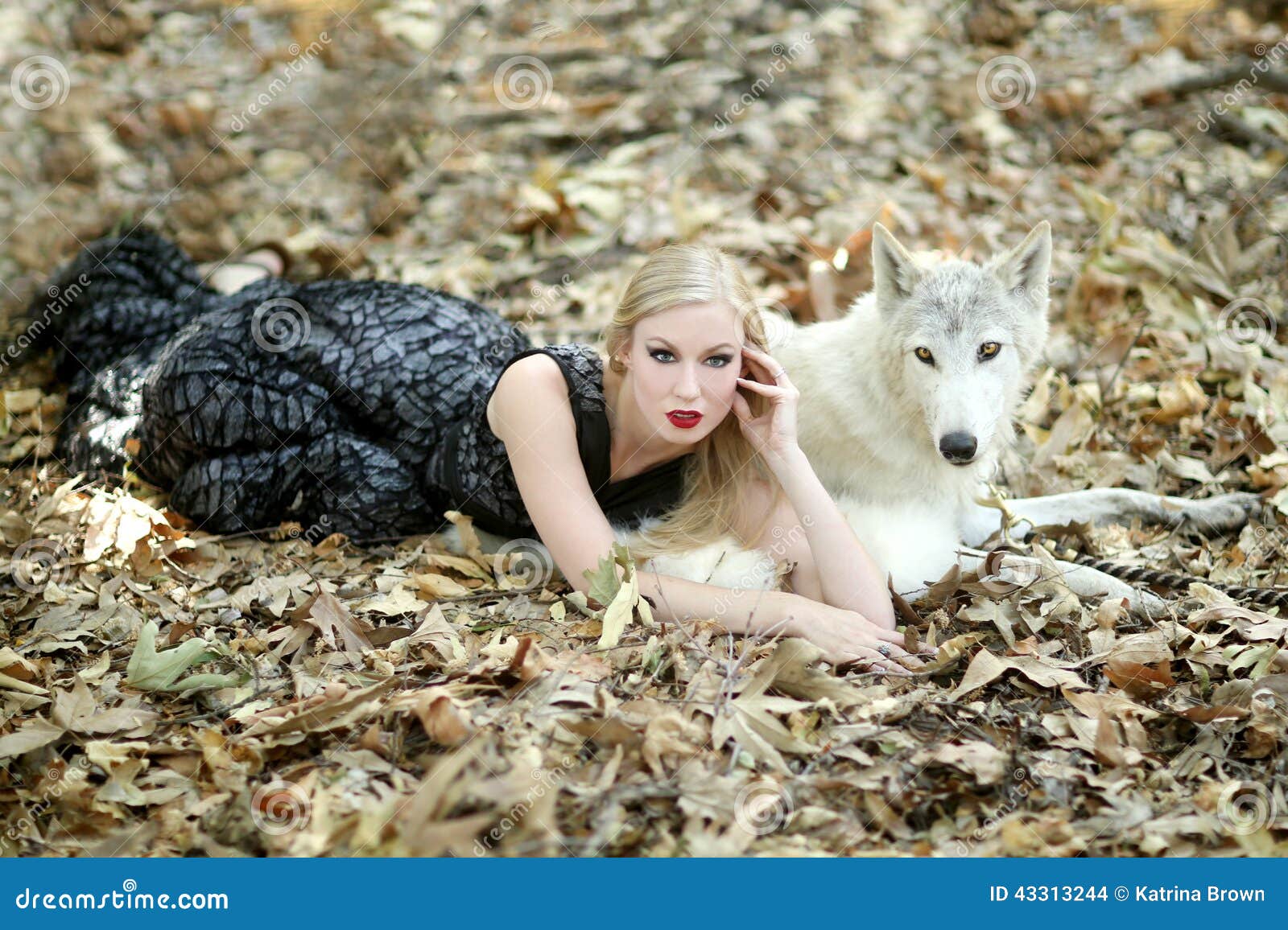 Lovely Woman Posing with a Wolf Stock Photo - Image of lips, beautiful ...