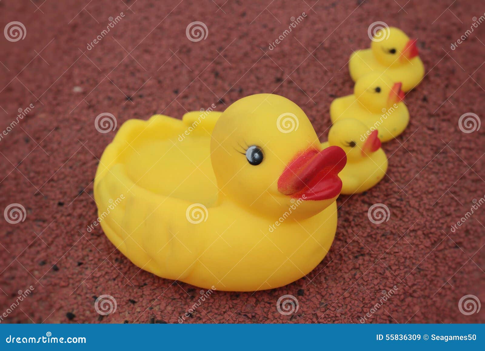 Lovely of Yellow Rubber Duck and Tools. Stock Image - Image of duck ...