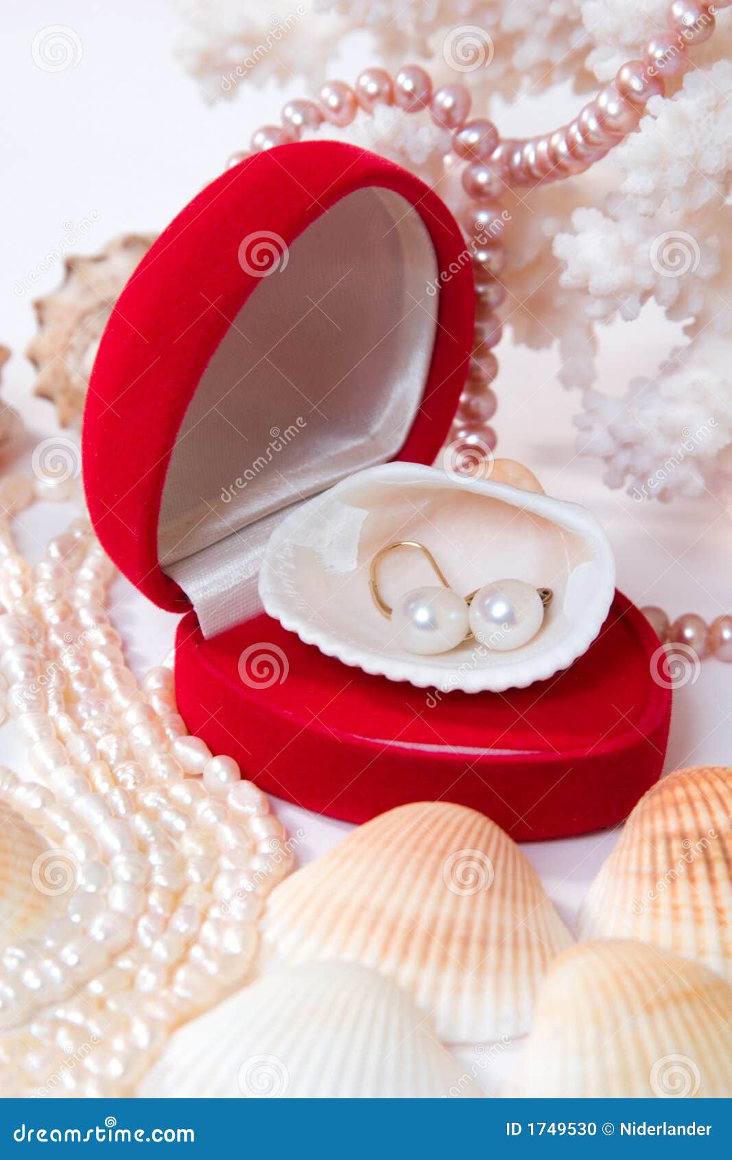 Lover s gift stock photo. Image of necklace, valentine - 1749530