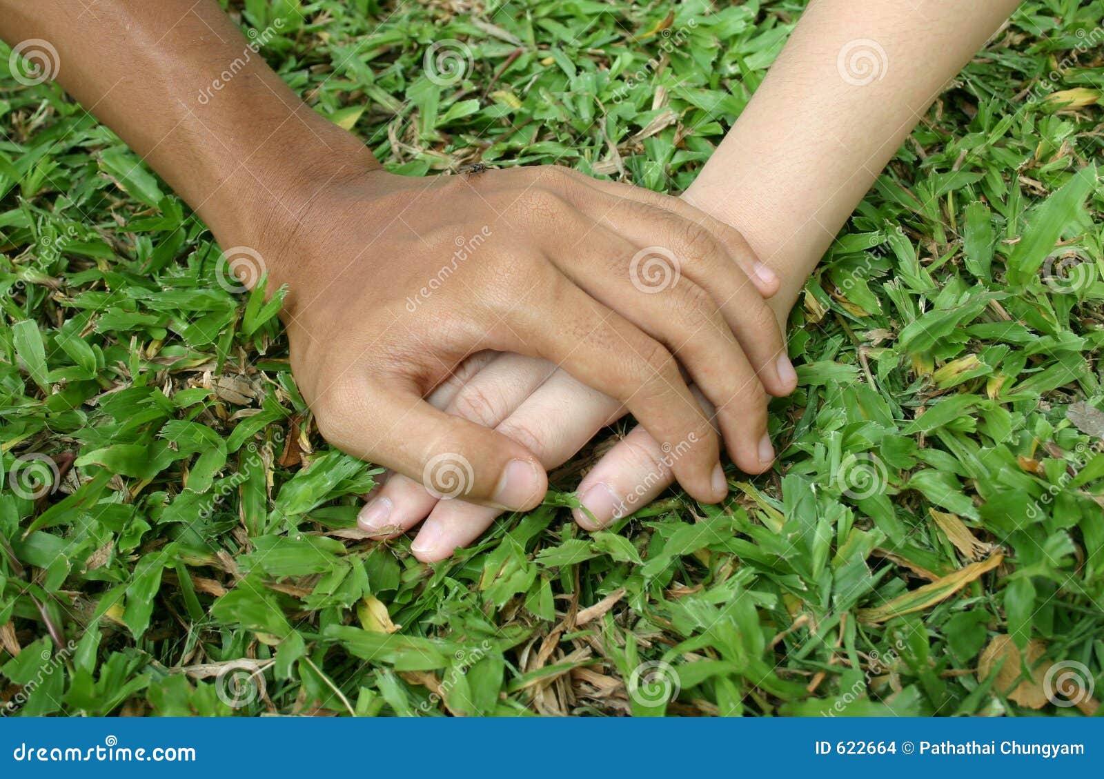 Lover s hands stock photo. Image of nature, hand, natural - 622664