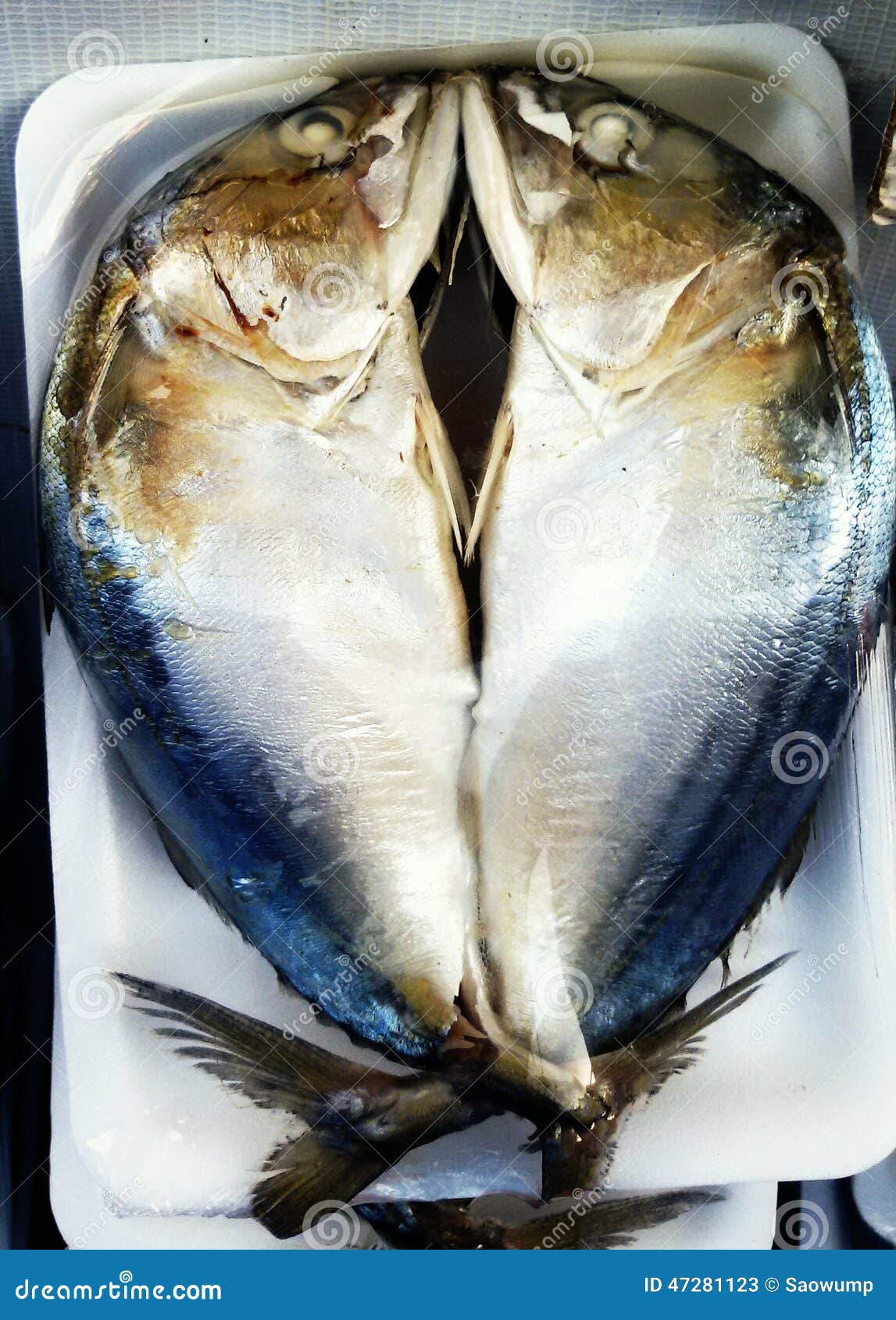 Mackerel omega3 editorial stock photo. Image of healt - 47281123