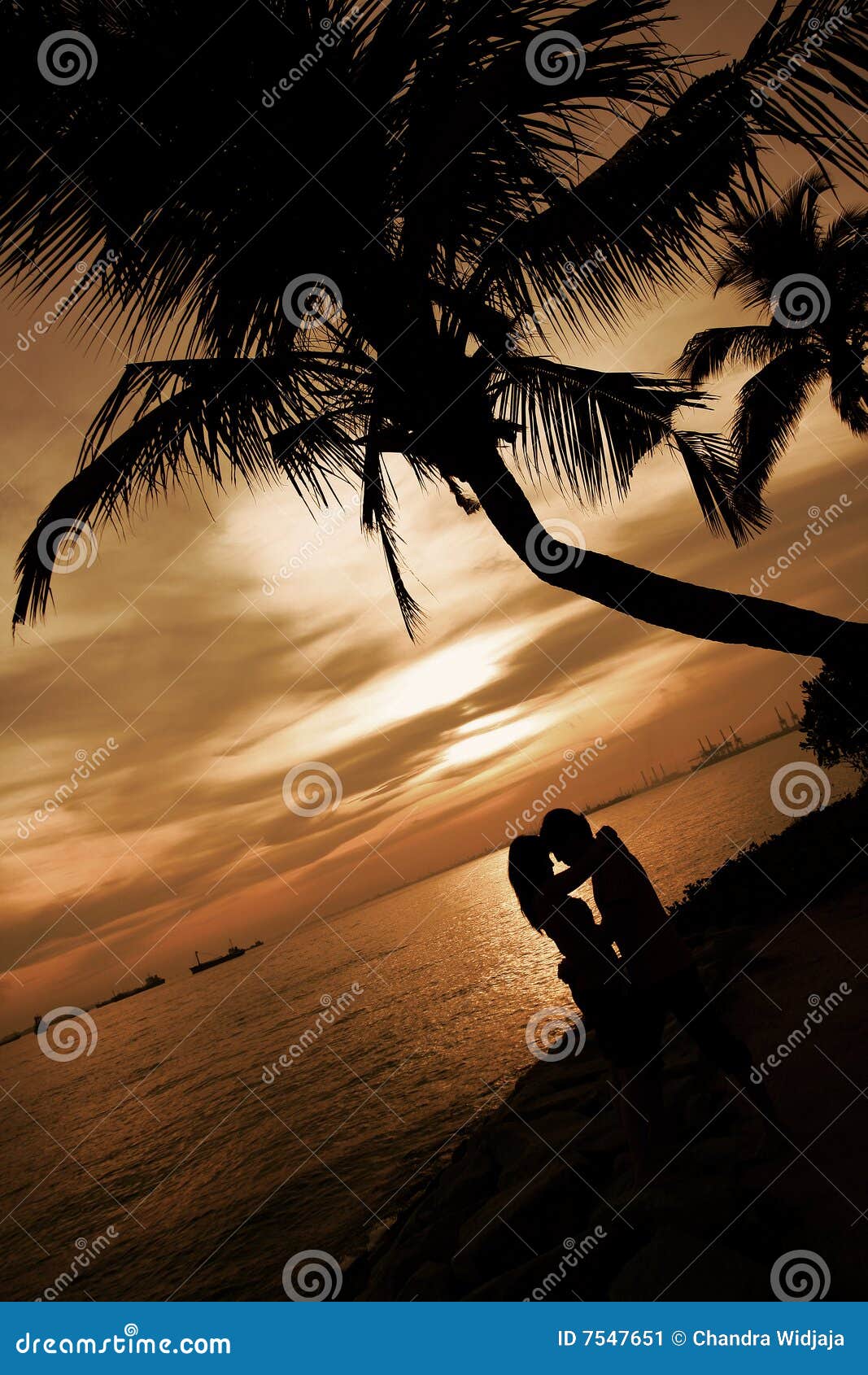 Lover Under Palm Trees stock image. Image of love, heart - 7547651